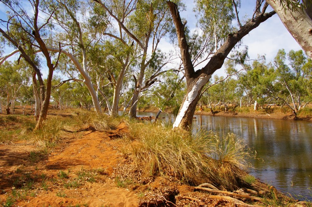 YMAC – Regions – Yamatji (Murchison – Gascoyne)